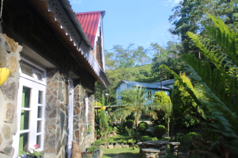 Tea Village Home Stay Tabakoshi a new offbeat place in Darjeeling