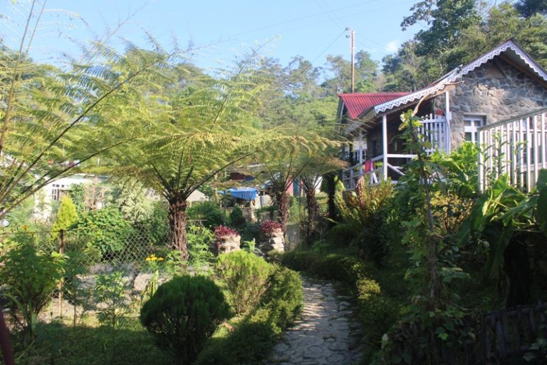 Tea Village Home Stay Tabakoshi a new offbeat place in Darjeeling