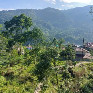 Tea Village Home Stay Tabakoshi a new offbeat tribal village in Darjeeling